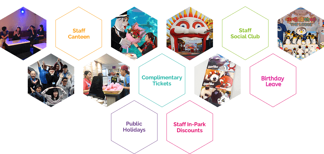 Careers at Ocean Park » Staff Privileges